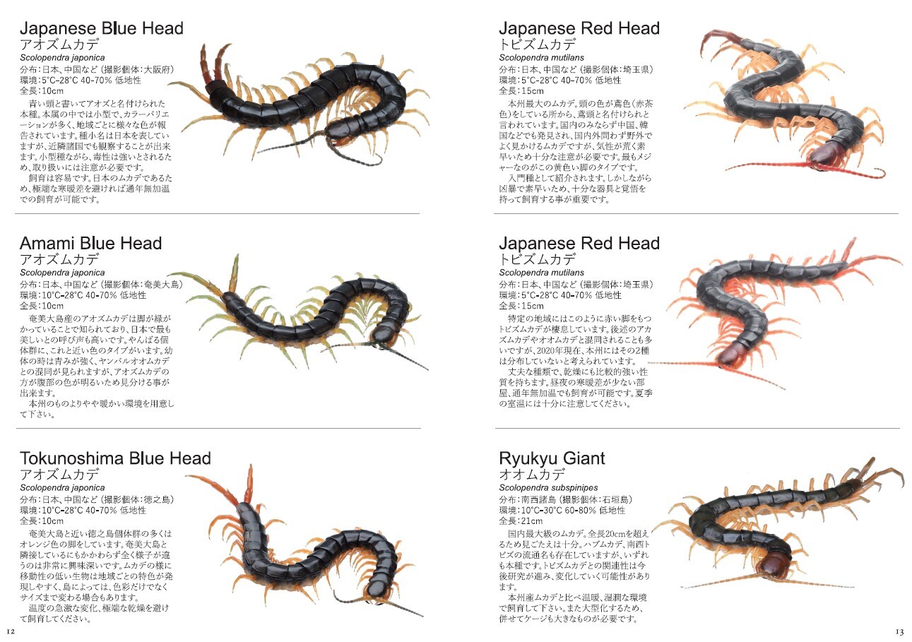 デジタル版 THE CENTIPEDE SECTION1 図鑑編 | ムカデ専門店 Terminal Legs