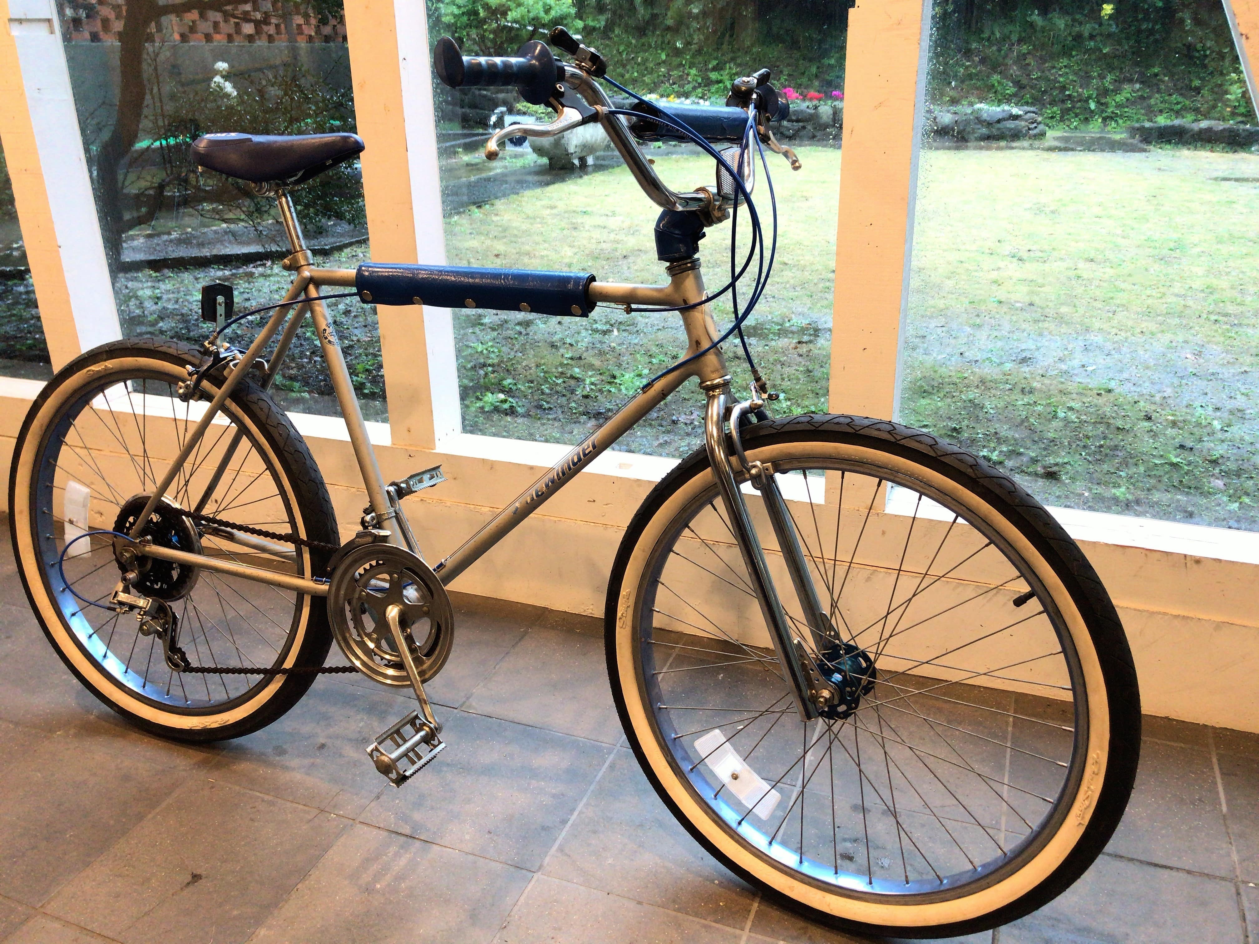 Schwinn sidewinder vintage store