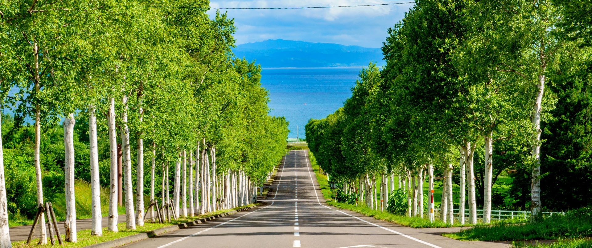 J.Farm LABO ジェイ.ファームラボ