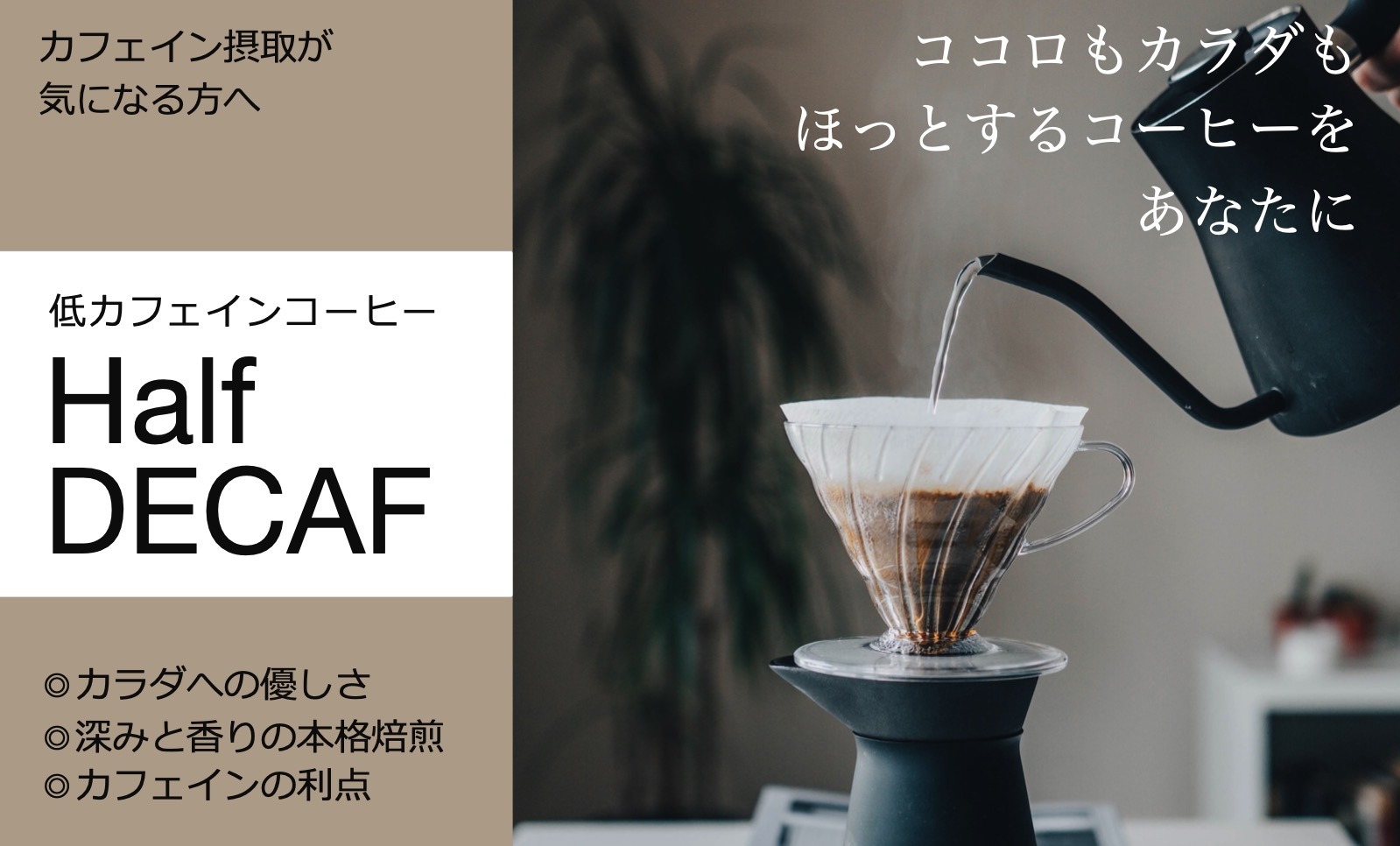 ABOUT | ハーフデカフェコーヒー専門「HALF DECAF COFFEE」