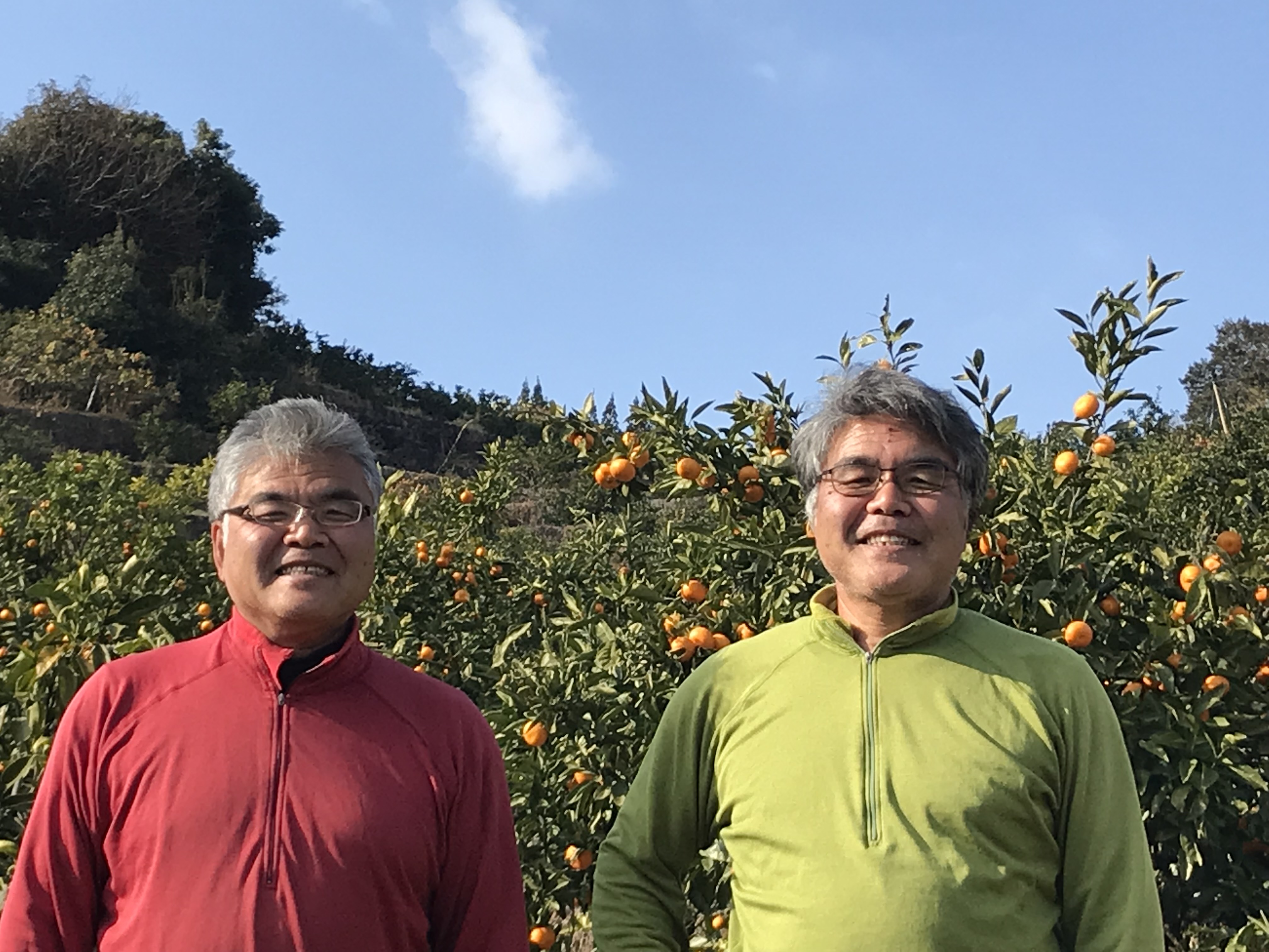 ABOUT | 野村いろは農園