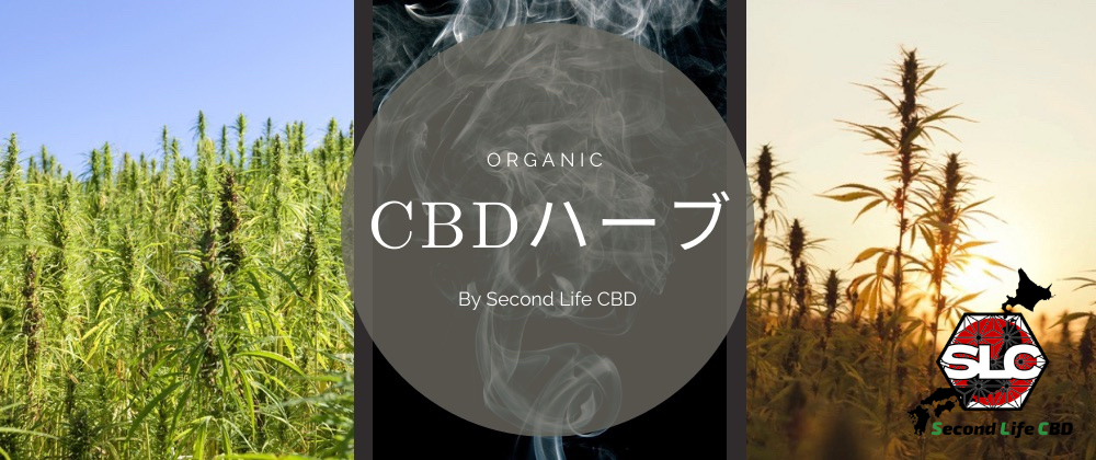 Second Life CBD