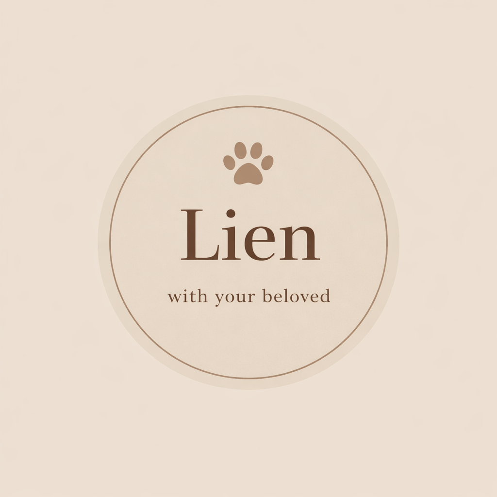 BLOG | lien