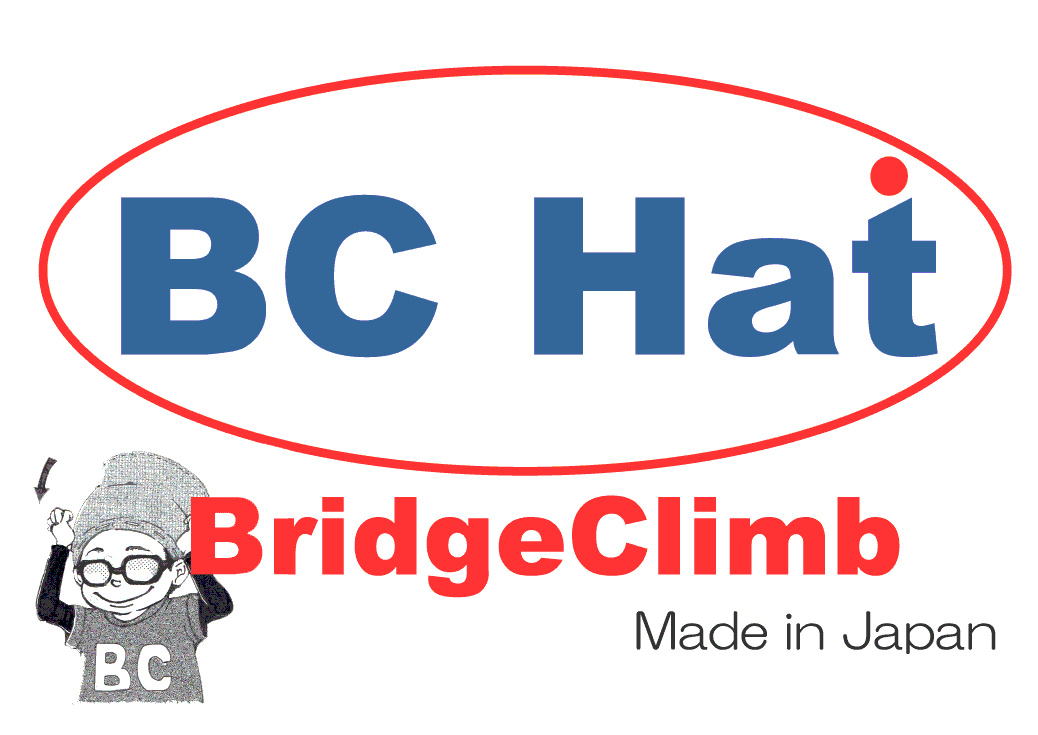 BC-Hat ビーシーハット 羽柄 黒系 M 新品 | bridgeclimb