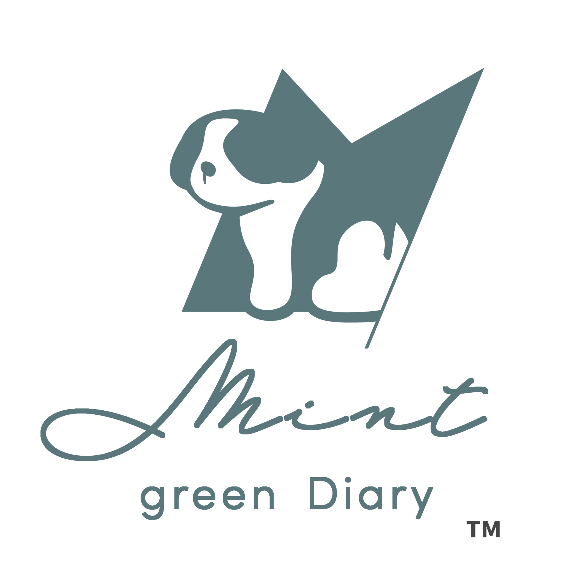 NEWS Mint Green Diary news-mint-green-diary